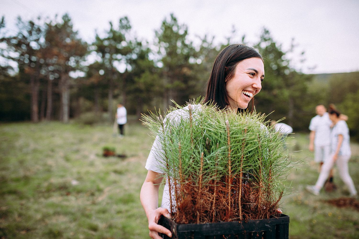 Advanced Charitable Giving Strategies for Smart Investors | Wealth ...